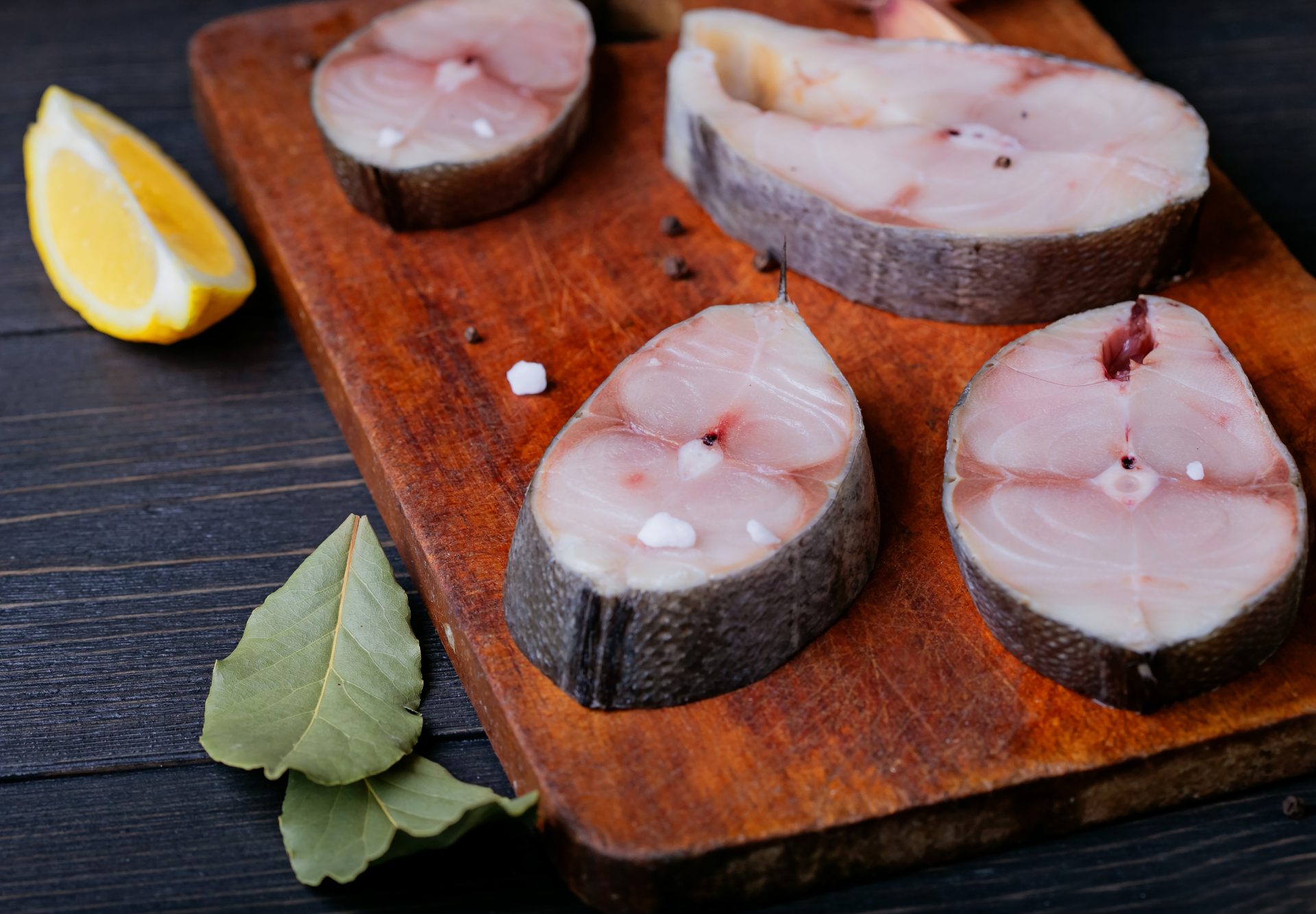 Cojinova moteada - FRIOSUR | AYSÉN-PATAGONIA