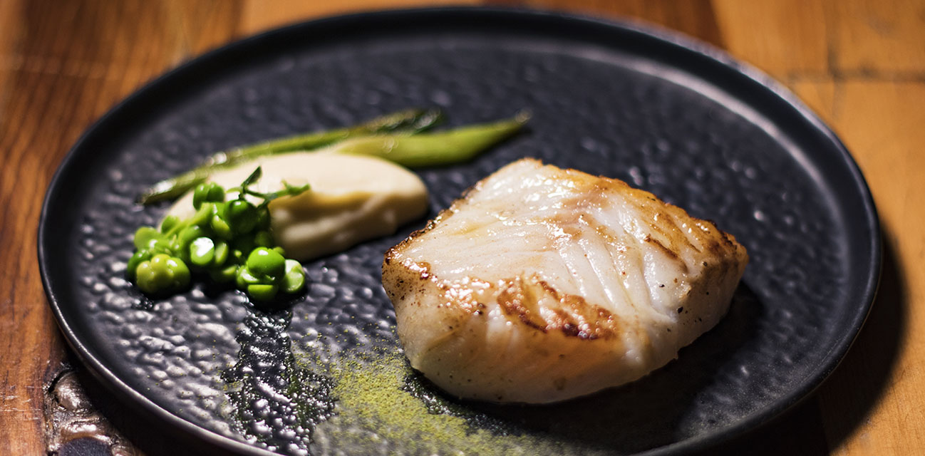 Merluza Austral - FRIOSUR | AYSÉN-PATAGONIA